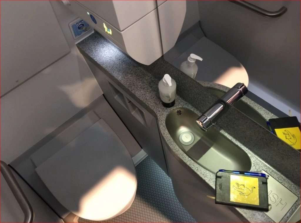Airlines press back on accessible lavatory plans | PaxEx.Aero